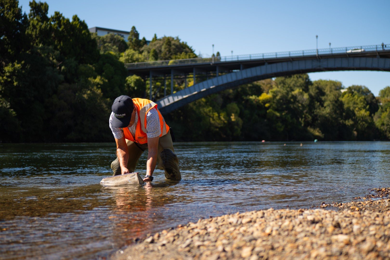 Morphum Environmental | Experts In The Environment